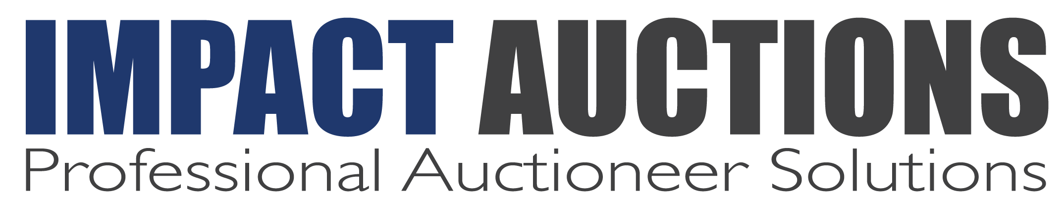 Impact Auctions – Fundraising Charity Auctioneer